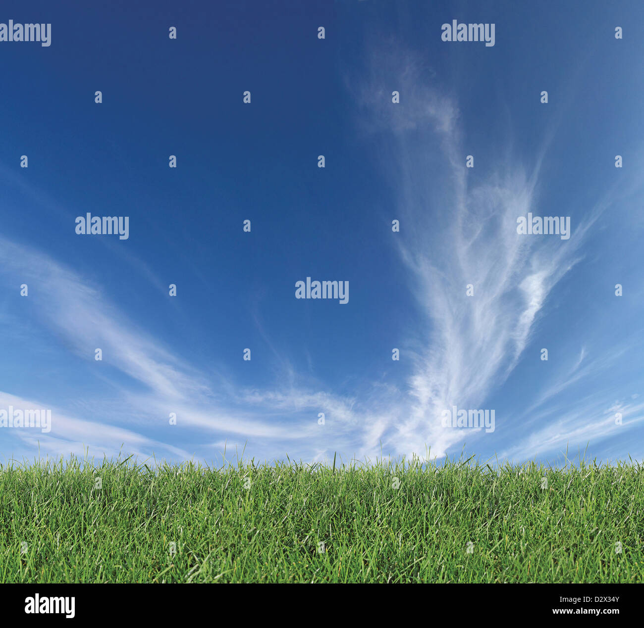 Blue skies and fresh spring green grass Stock Photo - Alamy