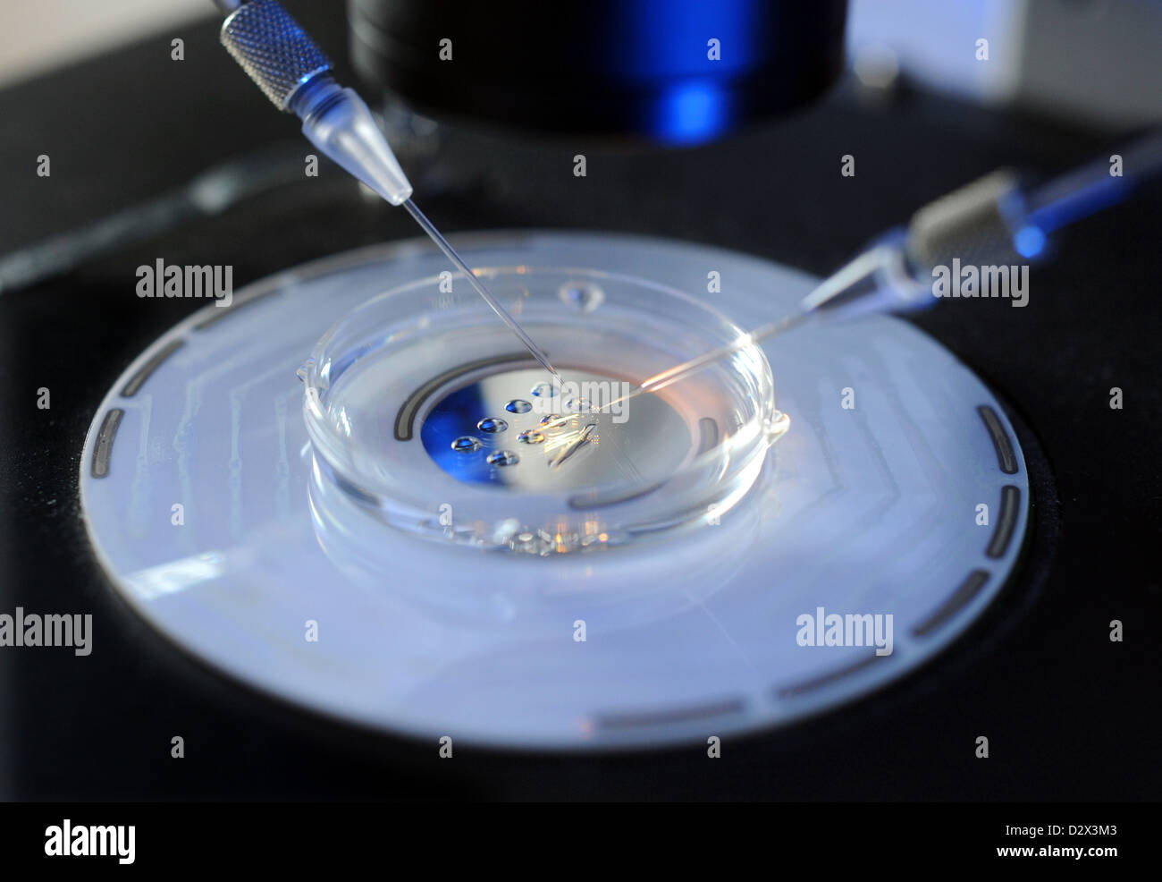 Fertilization hi-res stock photography and images - Alamy