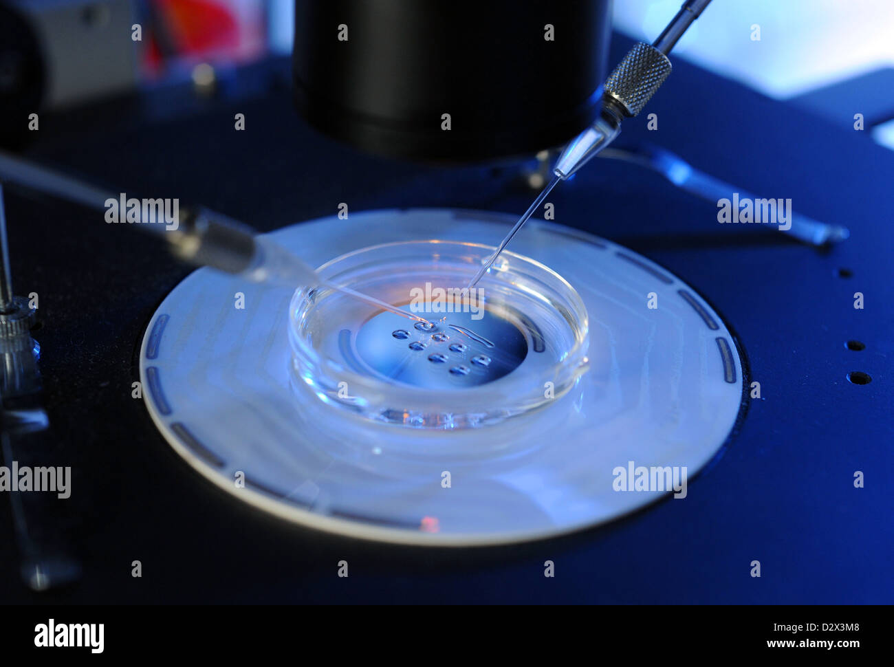 Sperm and egg microscope hi-res stock photography and images - Alamy