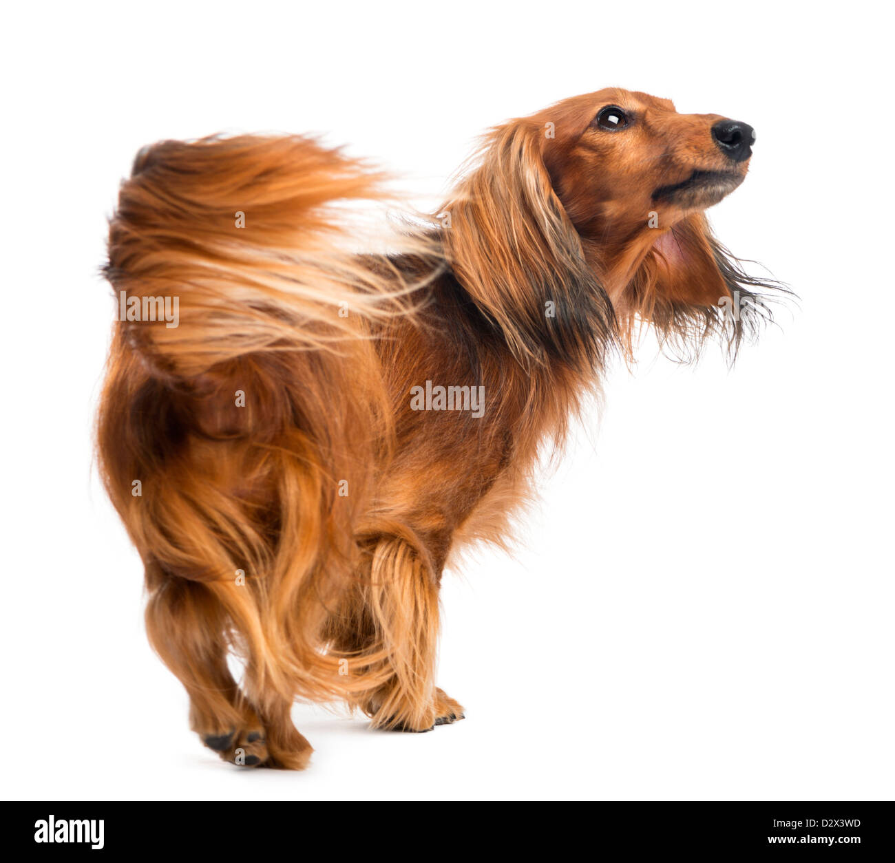 Photo looking up old Cut Out Stock Images & Pictures - Alamy