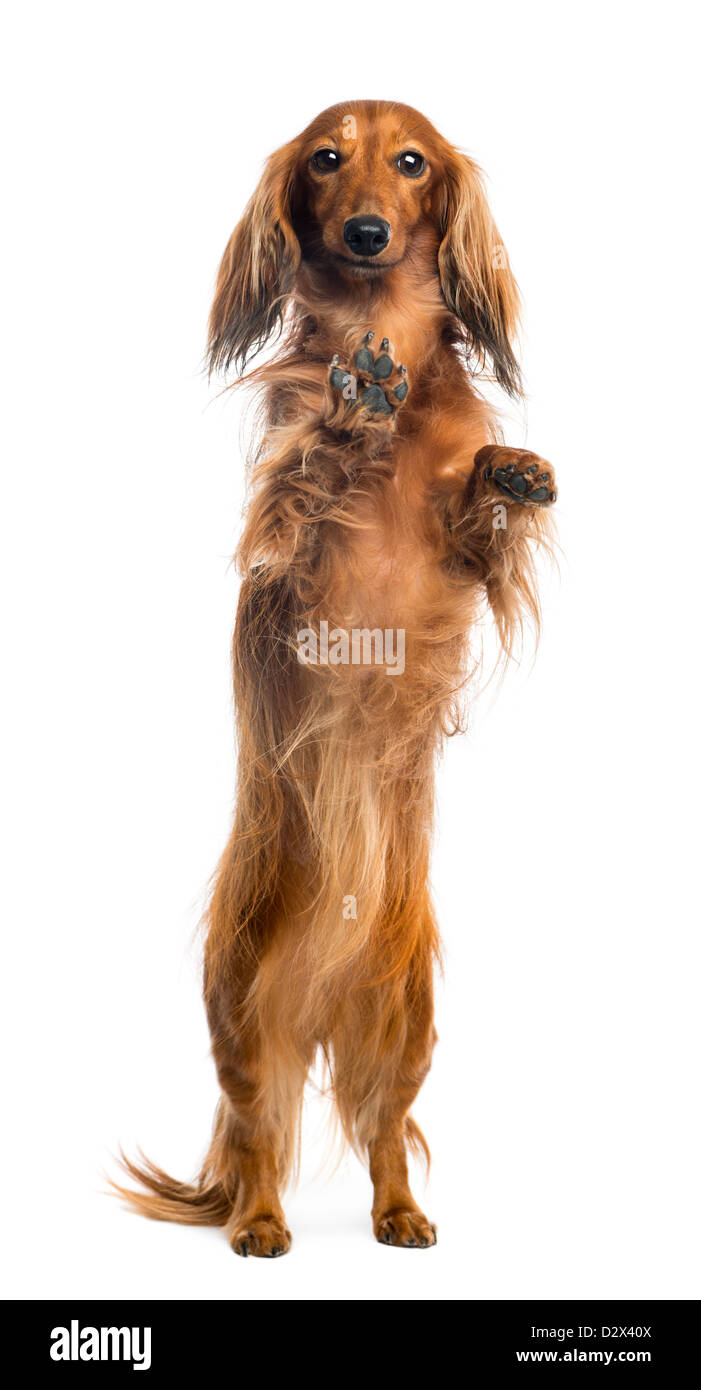 Indoor lean Cut Out Stock Images & Pictures - Alamy