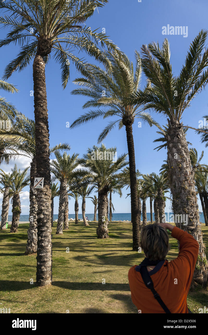 Woman taking photograph at beach park at Playamar Torremolinos Spain ...