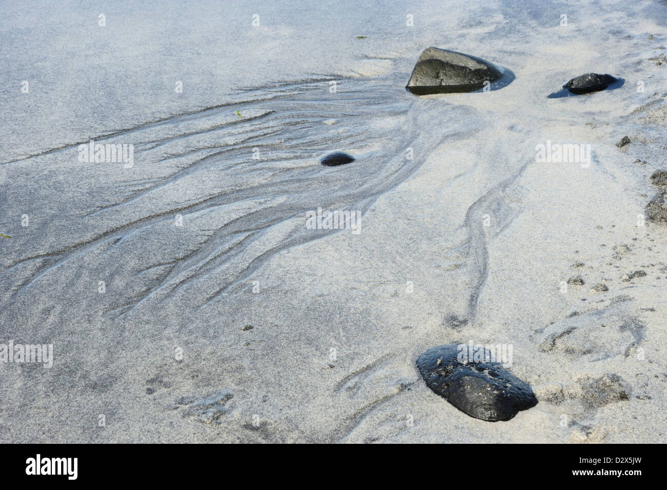 Patterns in the sand around stones in the intertidal zone on Laig beach ...