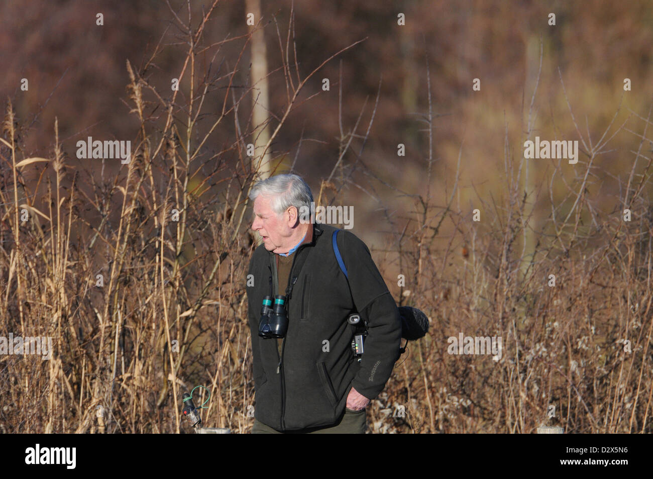 A MAN BIRD WATCHING. SUSSEX. UK Stock Photo - Alamy