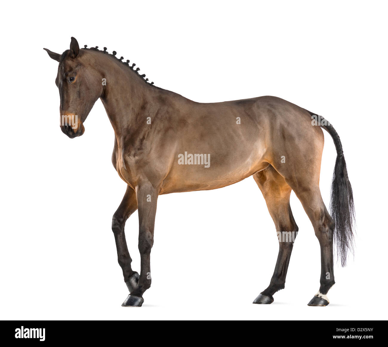 Side view female farm Cut Out Stock Images & Pictures - Alamy