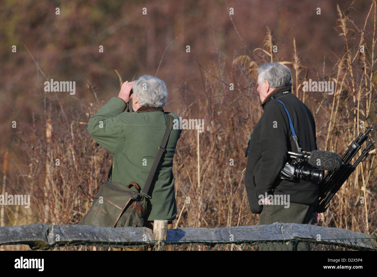 TWO MEN BIRD WATCHING IN SUSSEX. UK Stock Photo - Alamy