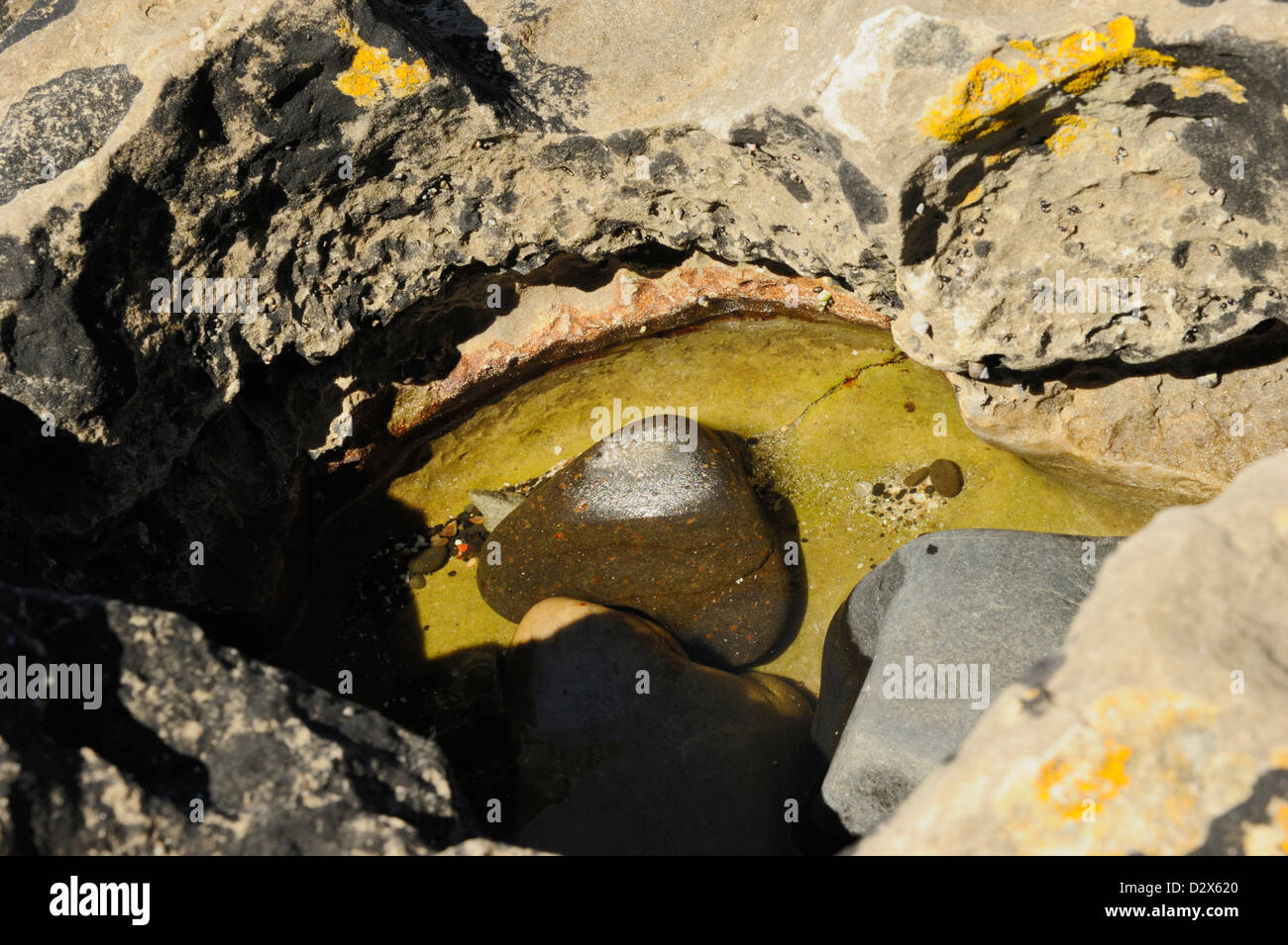 Intertidal rock hi-res stock photography and images - Alamy