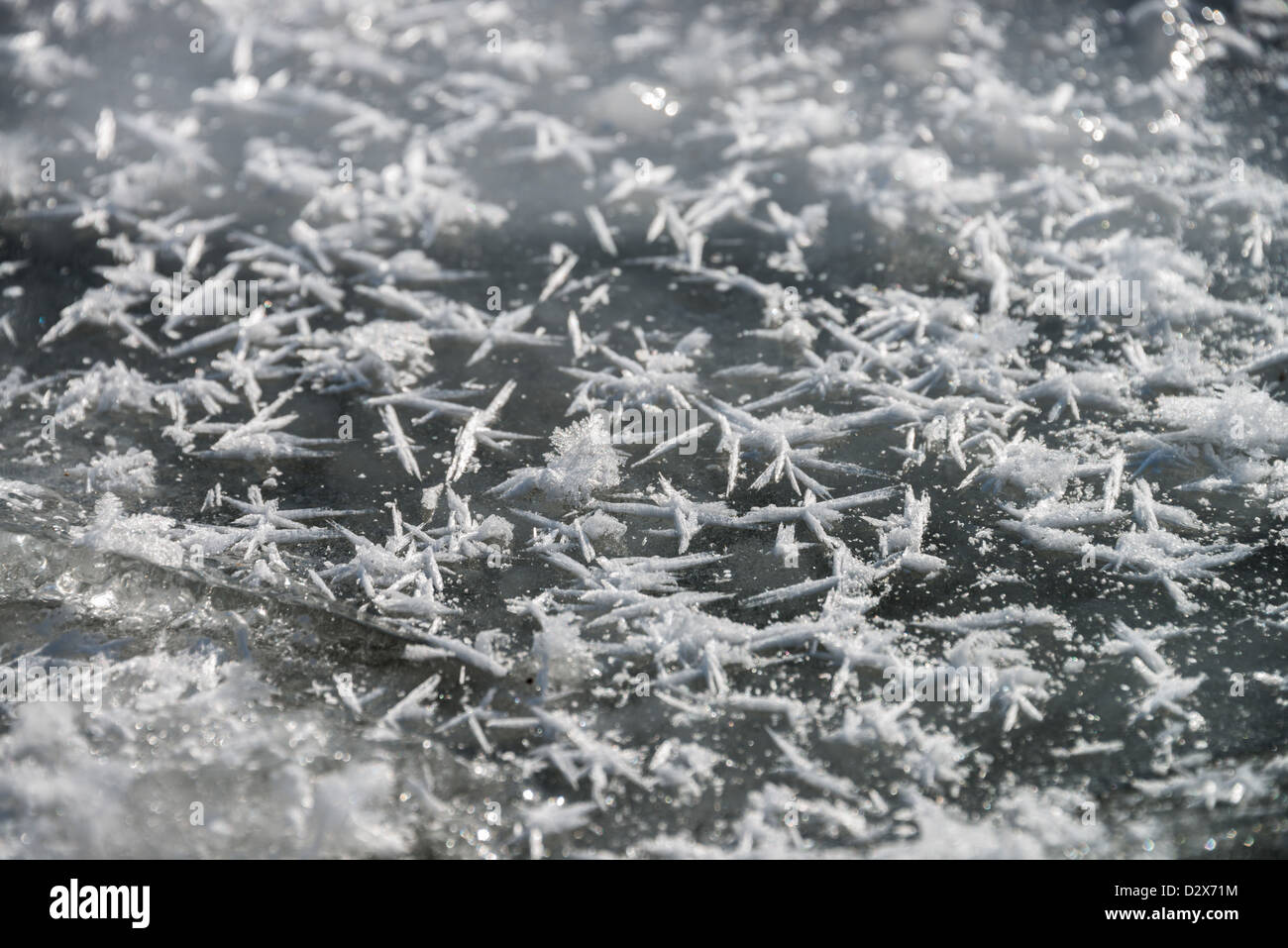 Ice crystals cold hi-res stock photography and images - Alamy