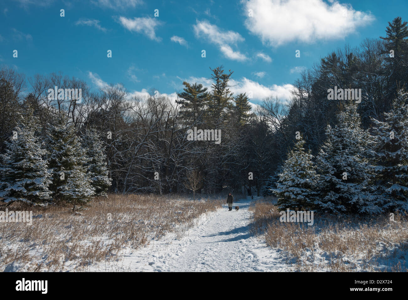 Sledding slope in rouge valley park, Toronto, Canada Stock Photo - Alamy