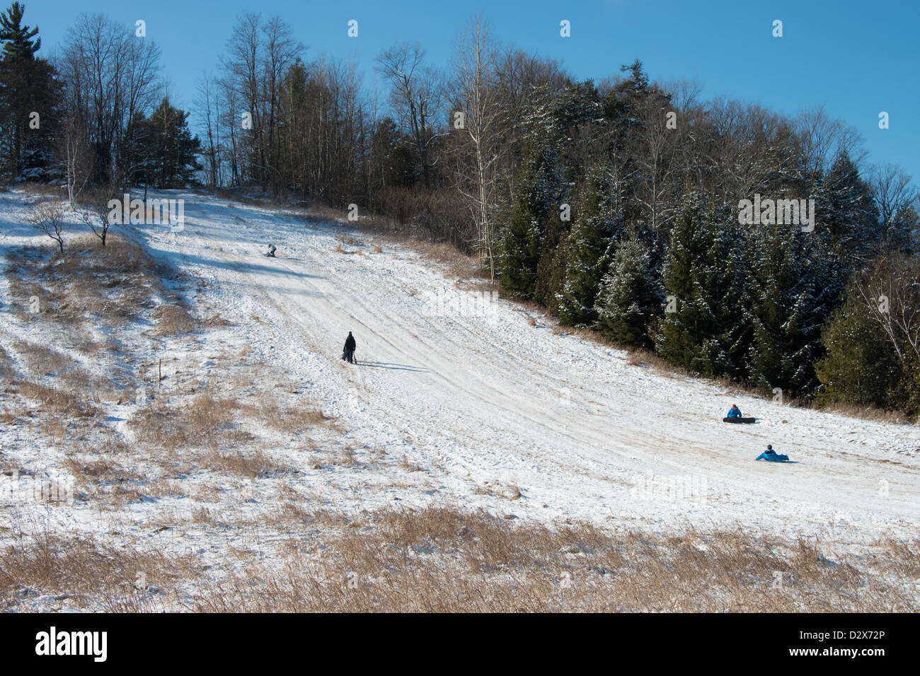 Sledding slope in rouge valley park, Toronto, Canada Stock Photo - Alamy