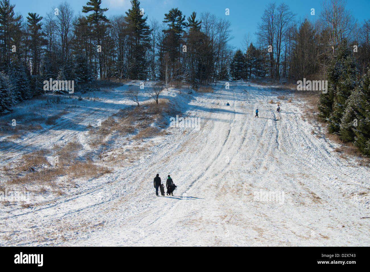 Sledding slope in rouge valley park, Toronto, Canada Stock Photo - Alamy
