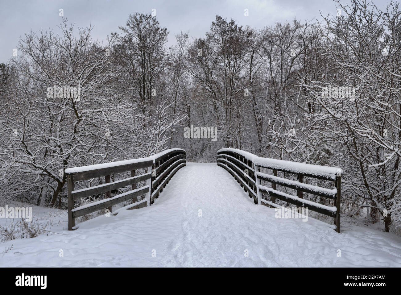 Winter scene with trees and snow Stock Photo - Alamy