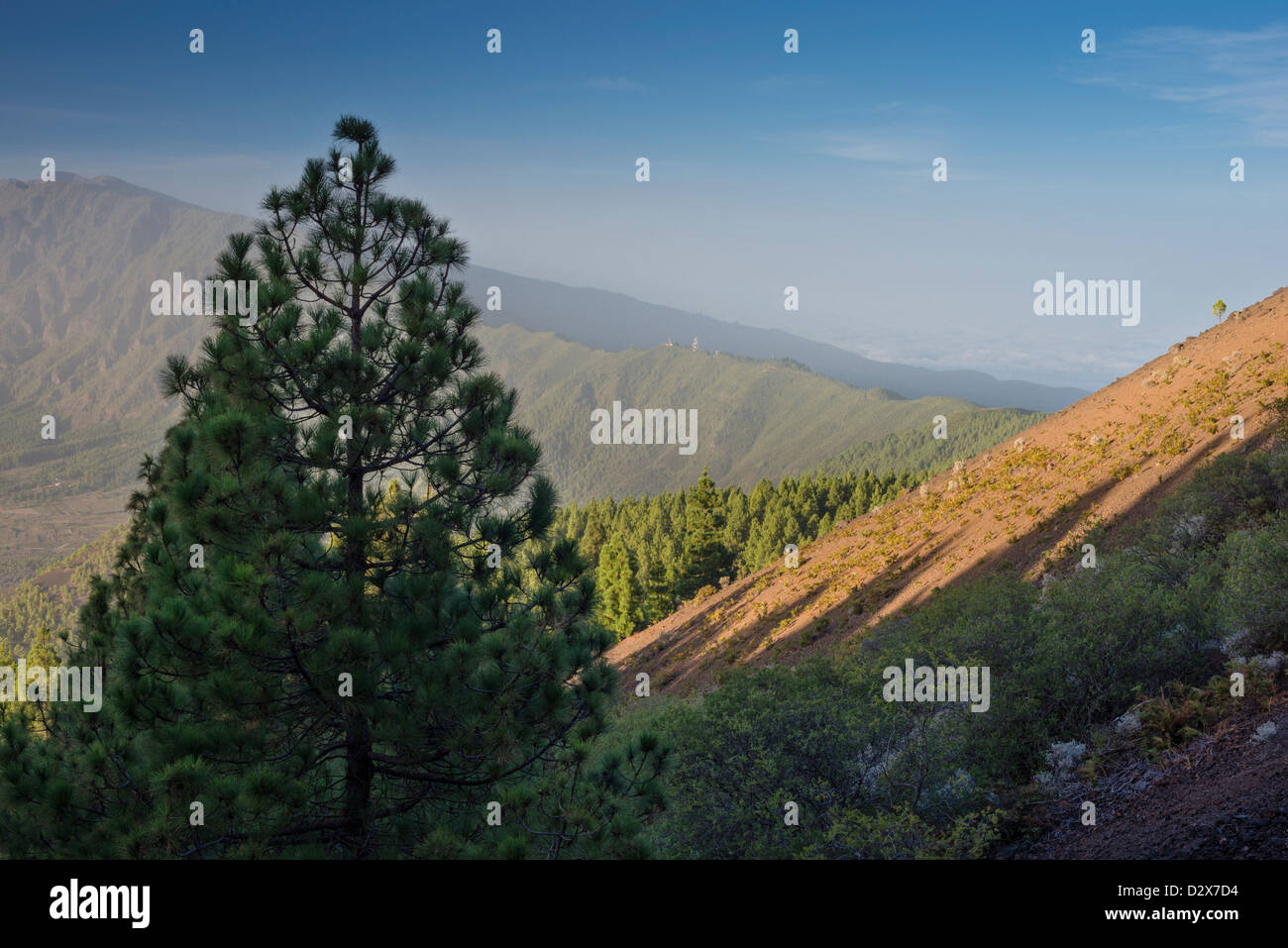 Pine slopes hi-res stock photography and images - Alamy