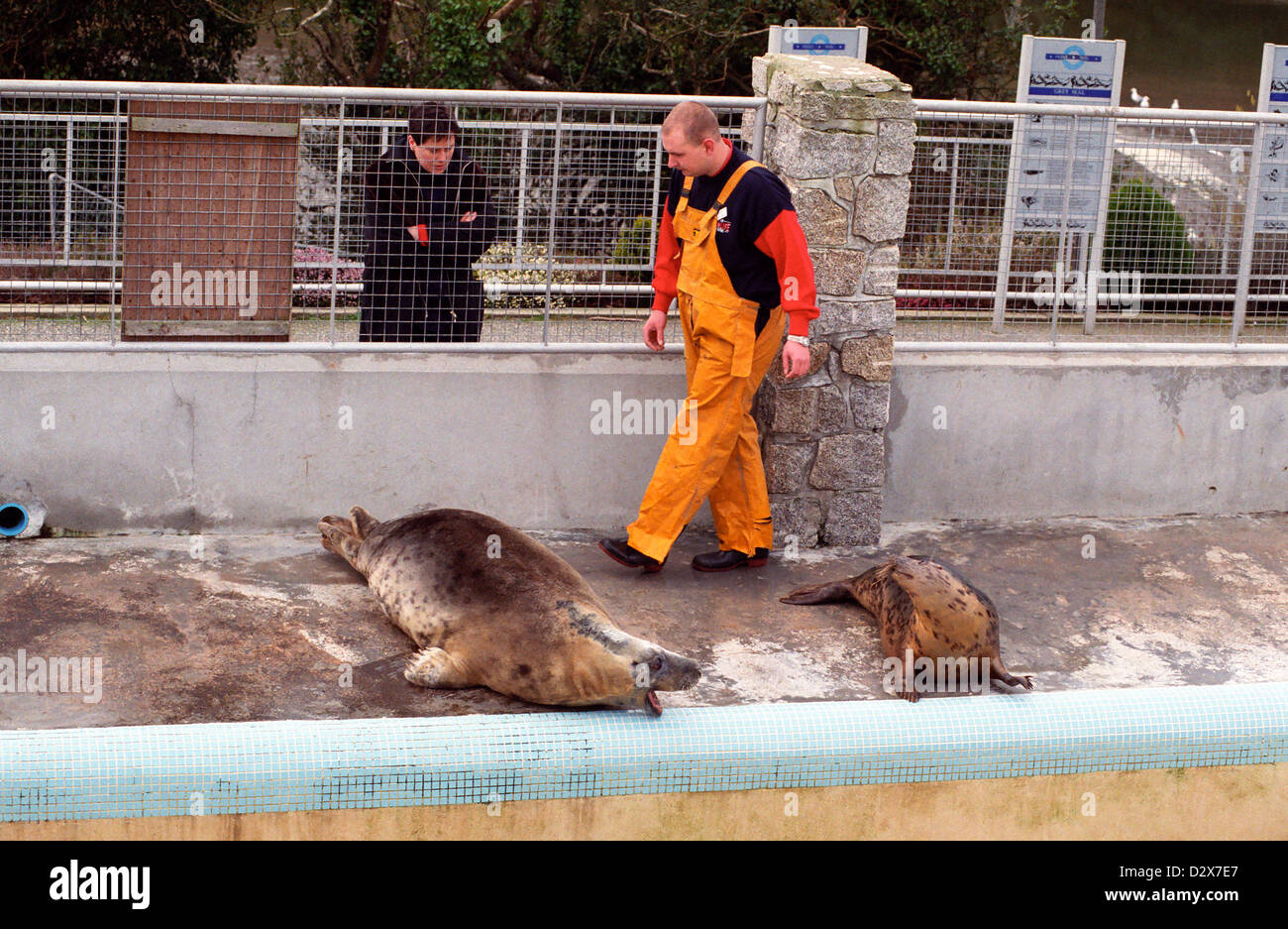 National Seal Sanctuary, Gweek, Cornwall Stock Photo - Alamy