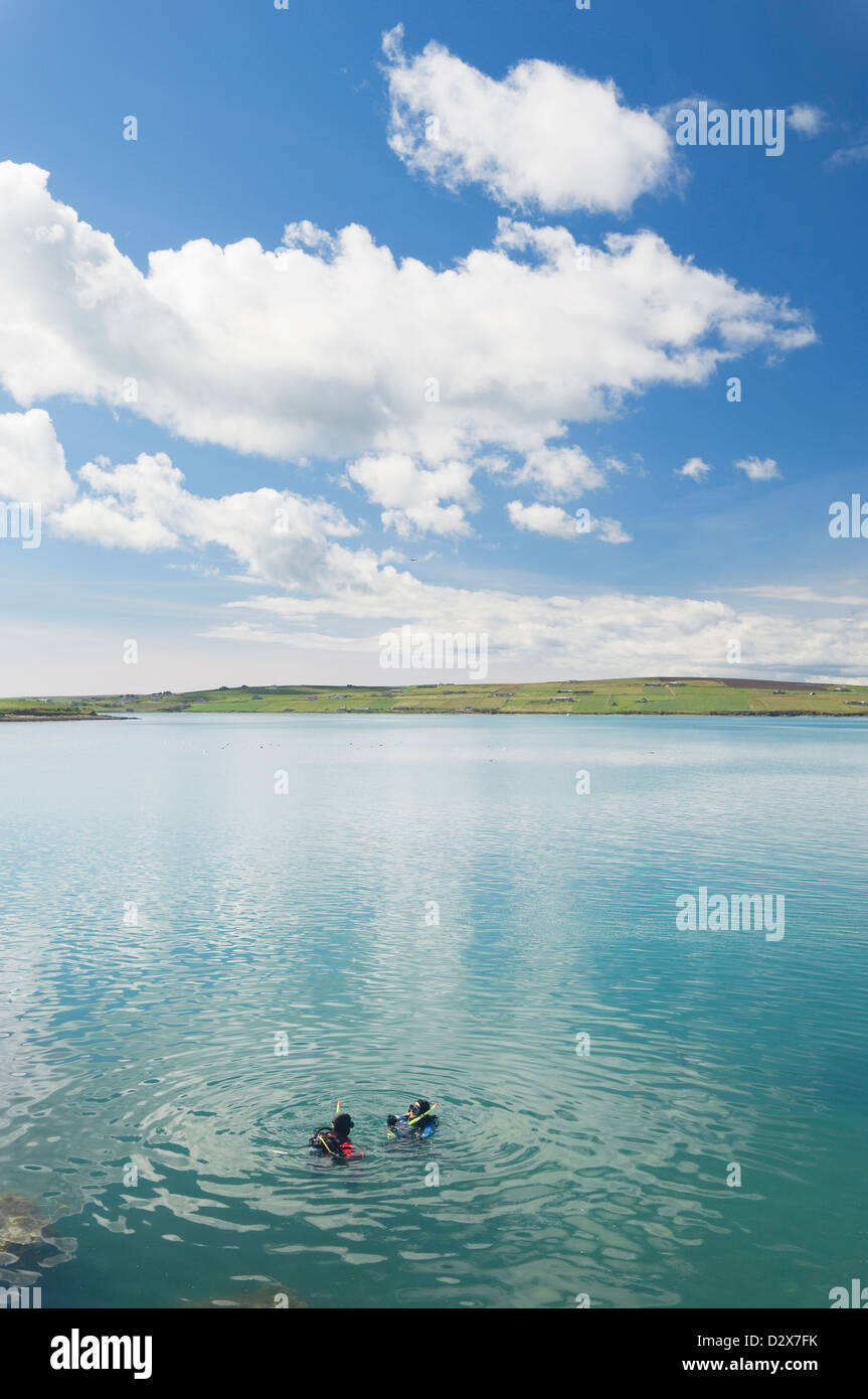 Scuba diving in Scapa Flow, Orkney Islands, Scotland Stock Photo - Alamy