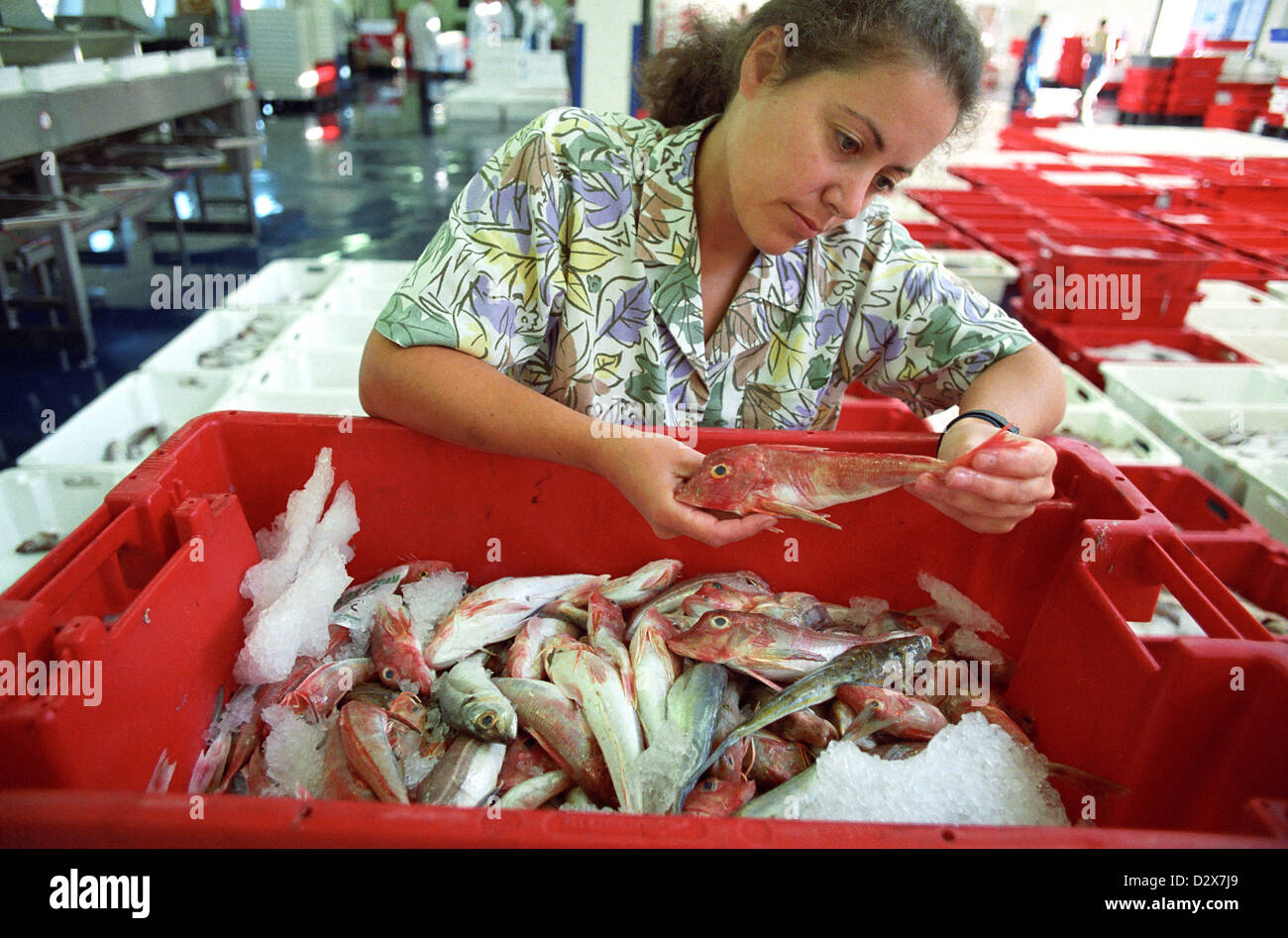 Plymouth fish market hi-res stock photography and images - Alamy