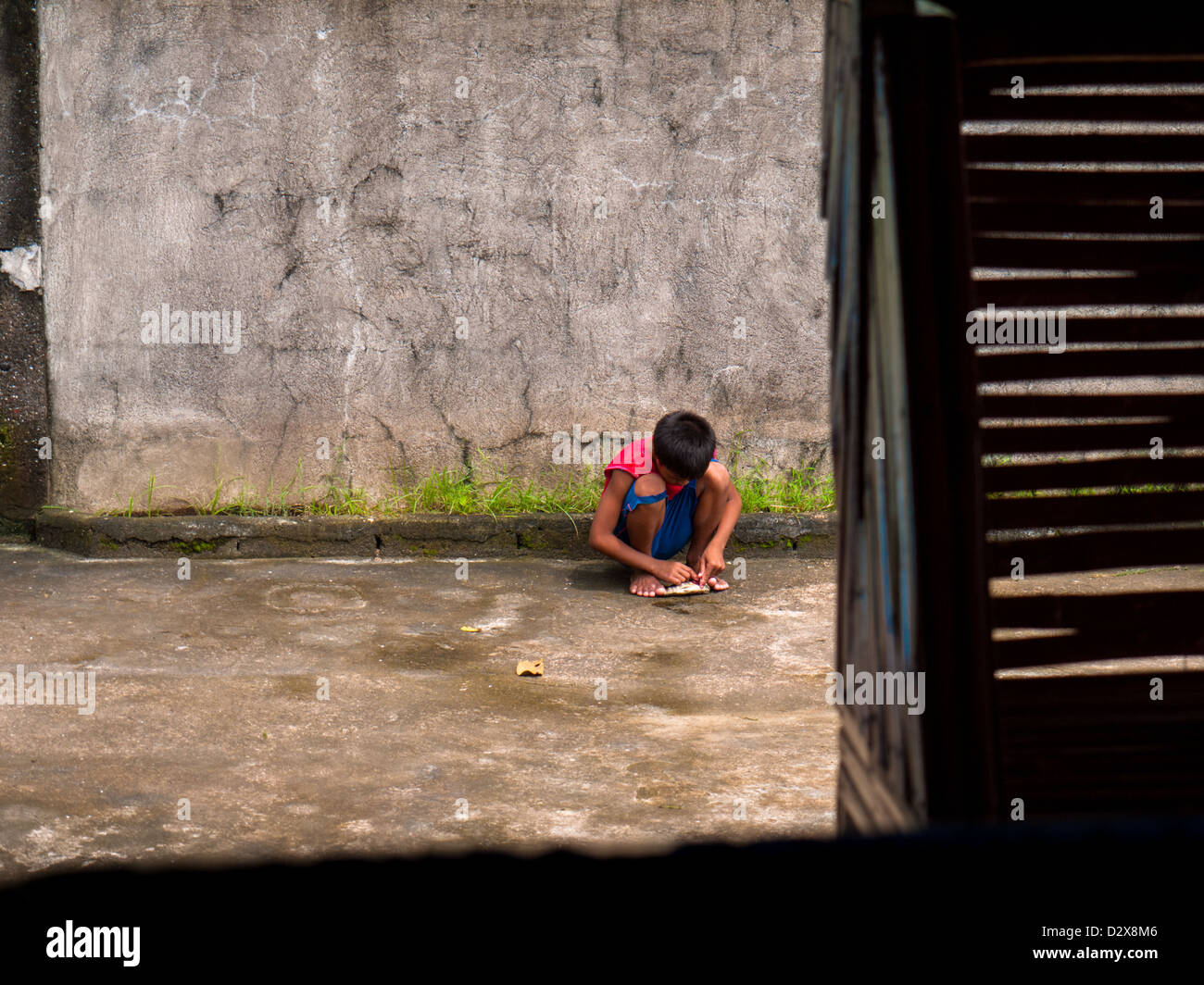 Boy cleaning tilapia fish, escaped from a fish farm in Lake Taal, Luzon ...