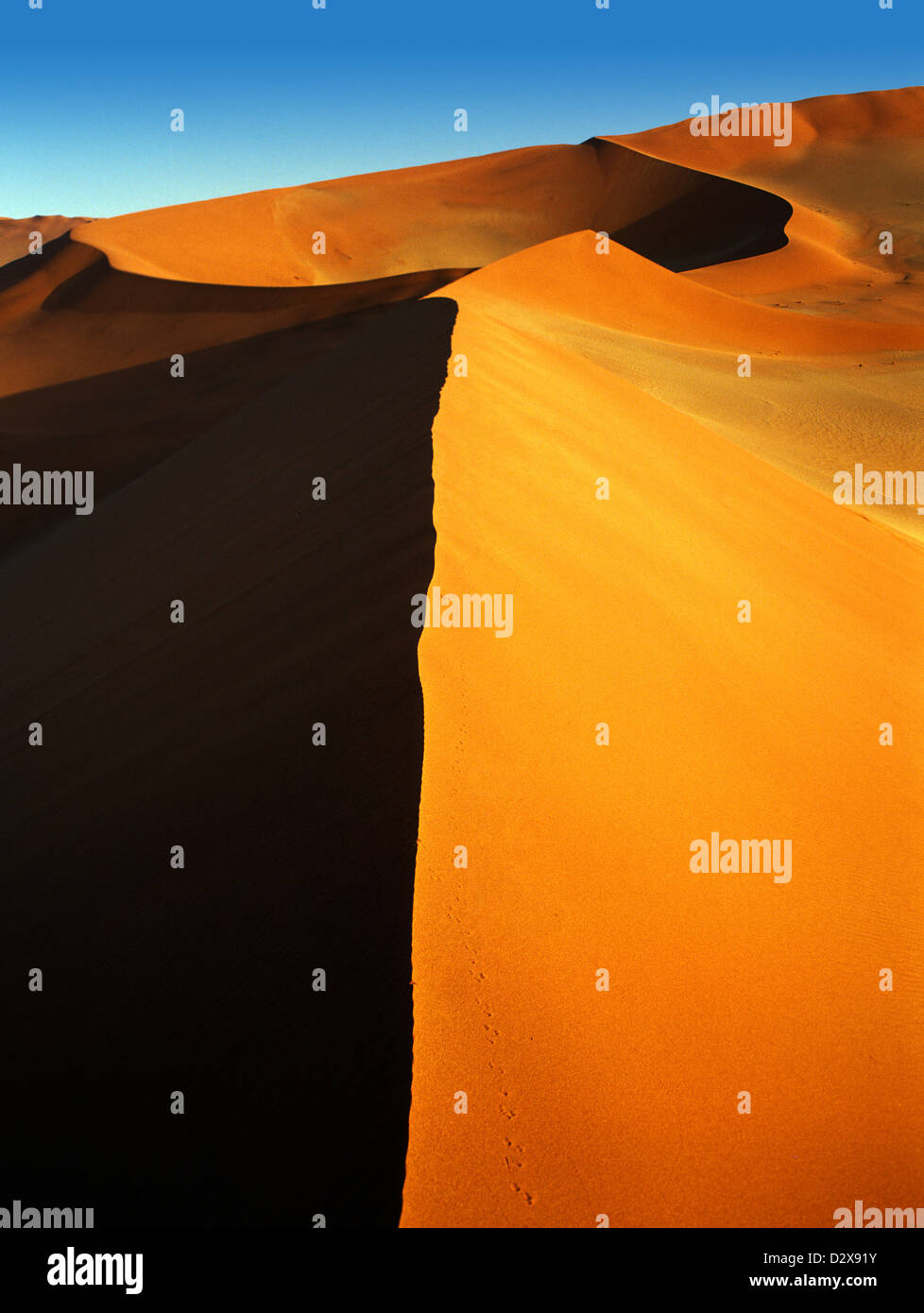 Sand dunes with sharp wind blown edge in the Namib desert, Namibia ...