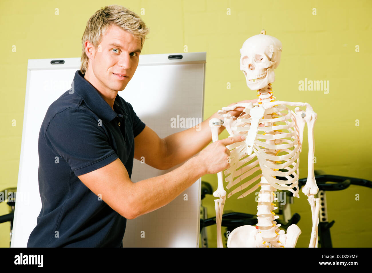 Fitness trainer in a gym explaining basic anatomy using a skeleton ...