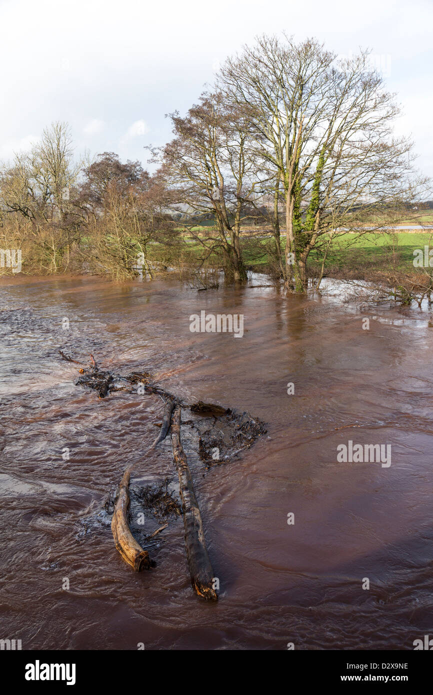 Swollen river flood hi-res stock photography and images - Alamy