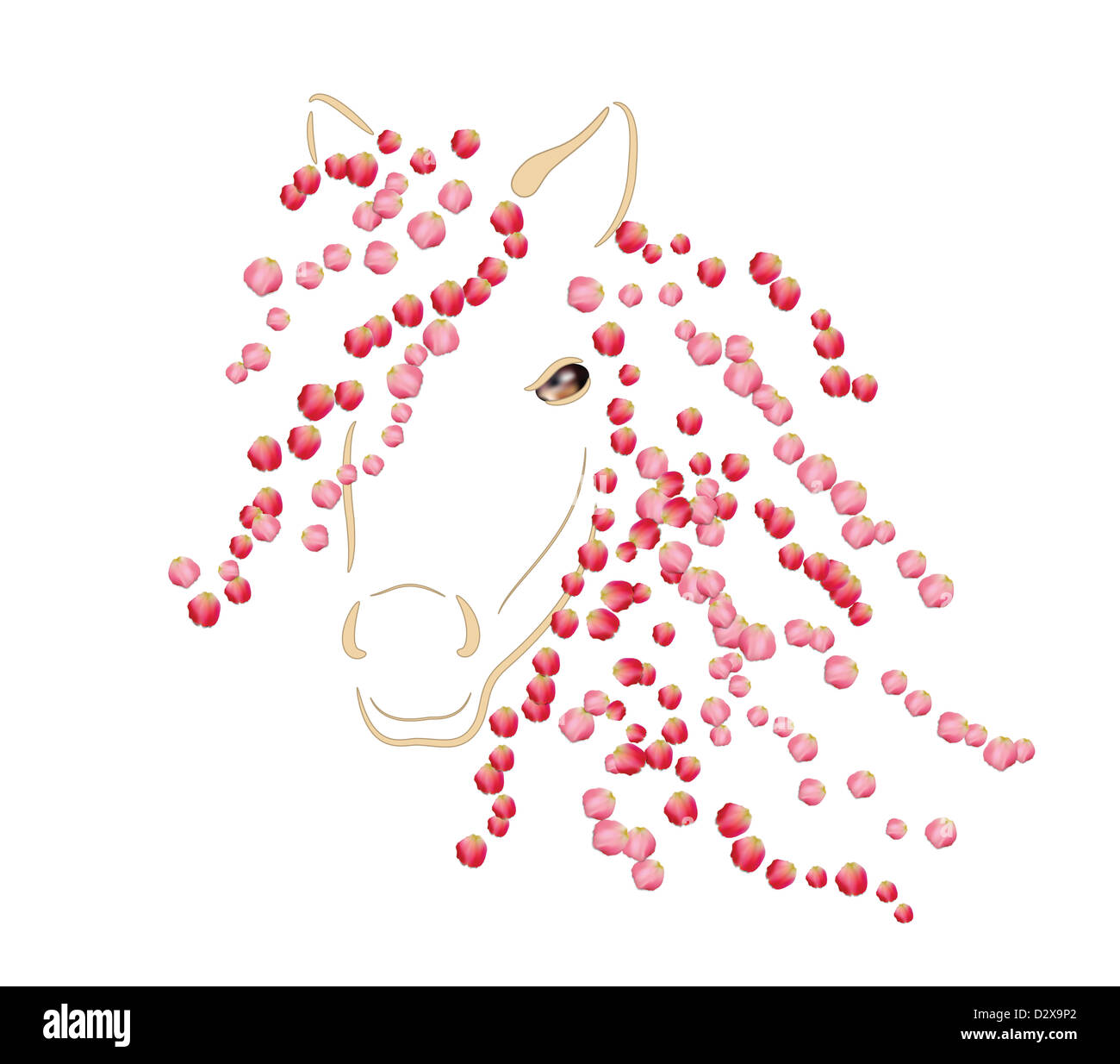 Decorative portrait beautiful horse Cut Out Stock Images & Pictures - Alamy