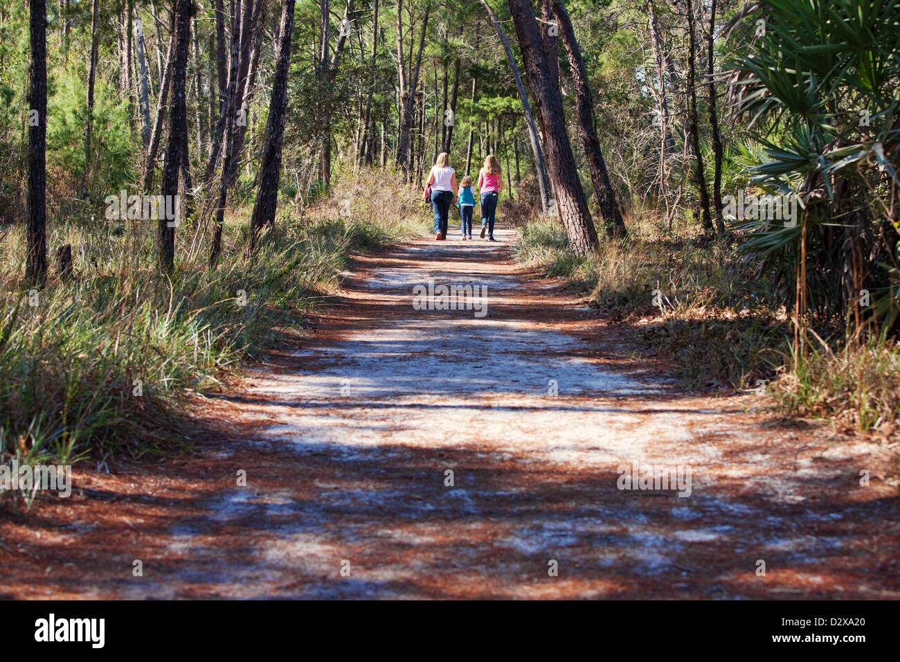 Walking down tree lined road hi-res stock photography and images - Alamy