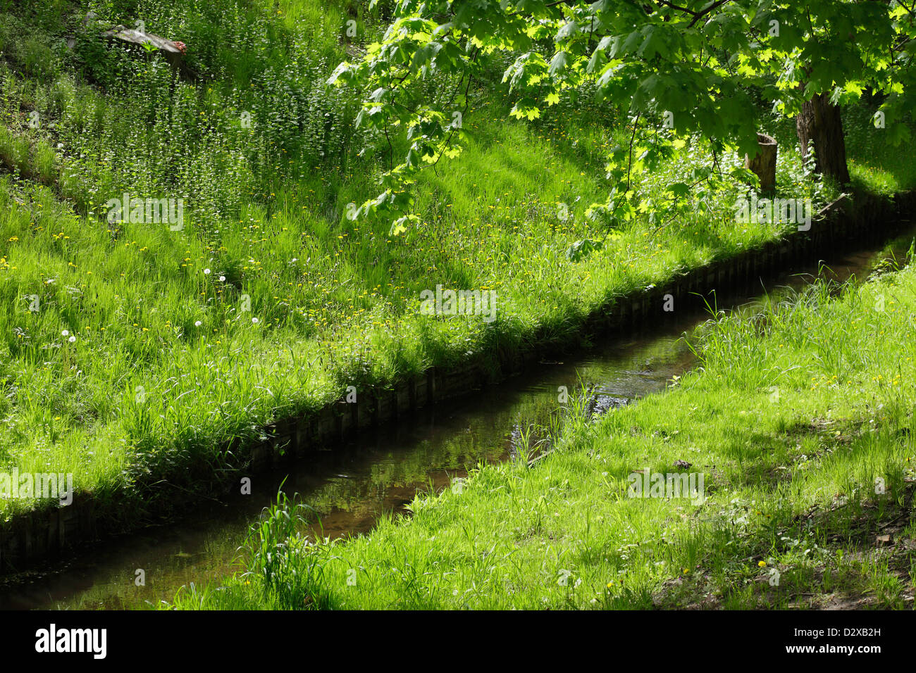 Berlin, Germany, straightened Bach in Berlin-Spandau Stock Photo - Alamy