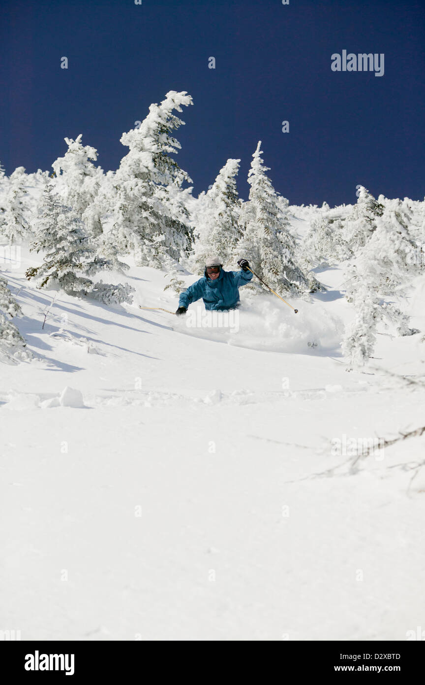 Expert skier skiing deep powder on a bluebird day on Mt. Mansfield in ...