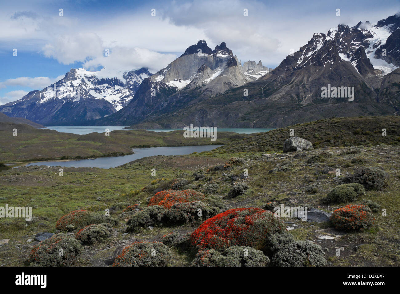 Lago Nordenskjold and the Paine Massif, Torres del Paine National Park ...