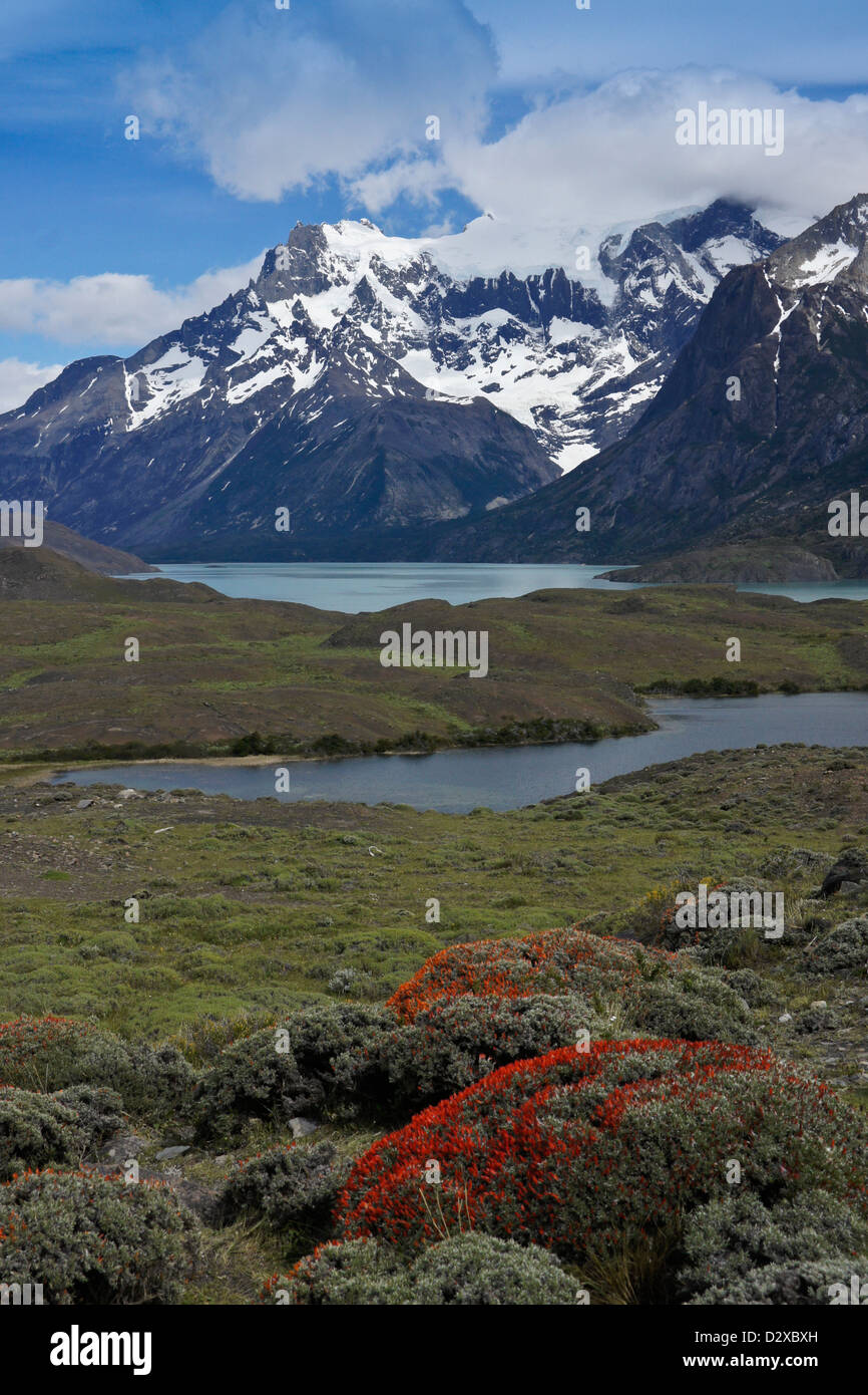 Lago Nordenskjold and the Paine Massif, Torres del Paine National Park ...