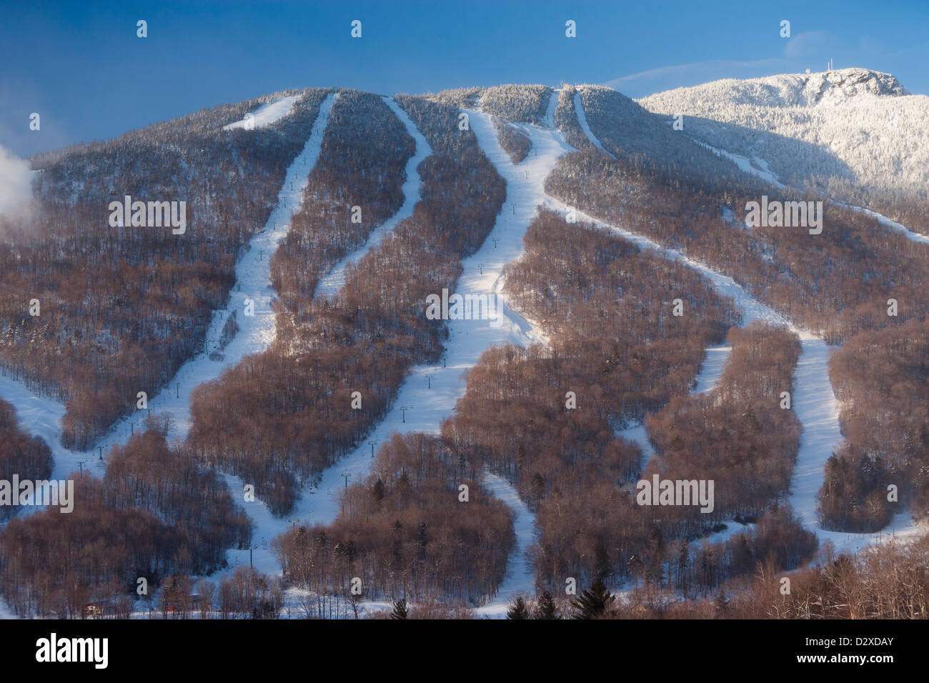 Ski trails at Mt. Mansfield, Stowe Mountain Resort, Stowe, Vermont ...