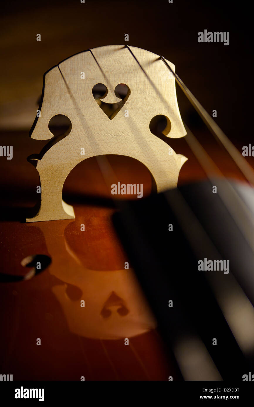 The Valentine heart-shaped woodwork in the bridge of a string bass ...