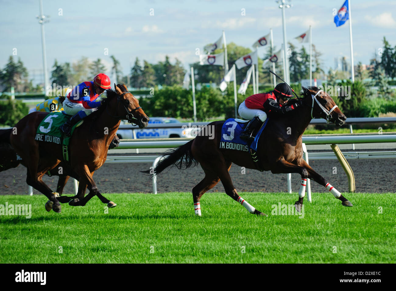 I'm Boundtoscore, with jockey Sarah Rook runs to victory at Woodbine ...