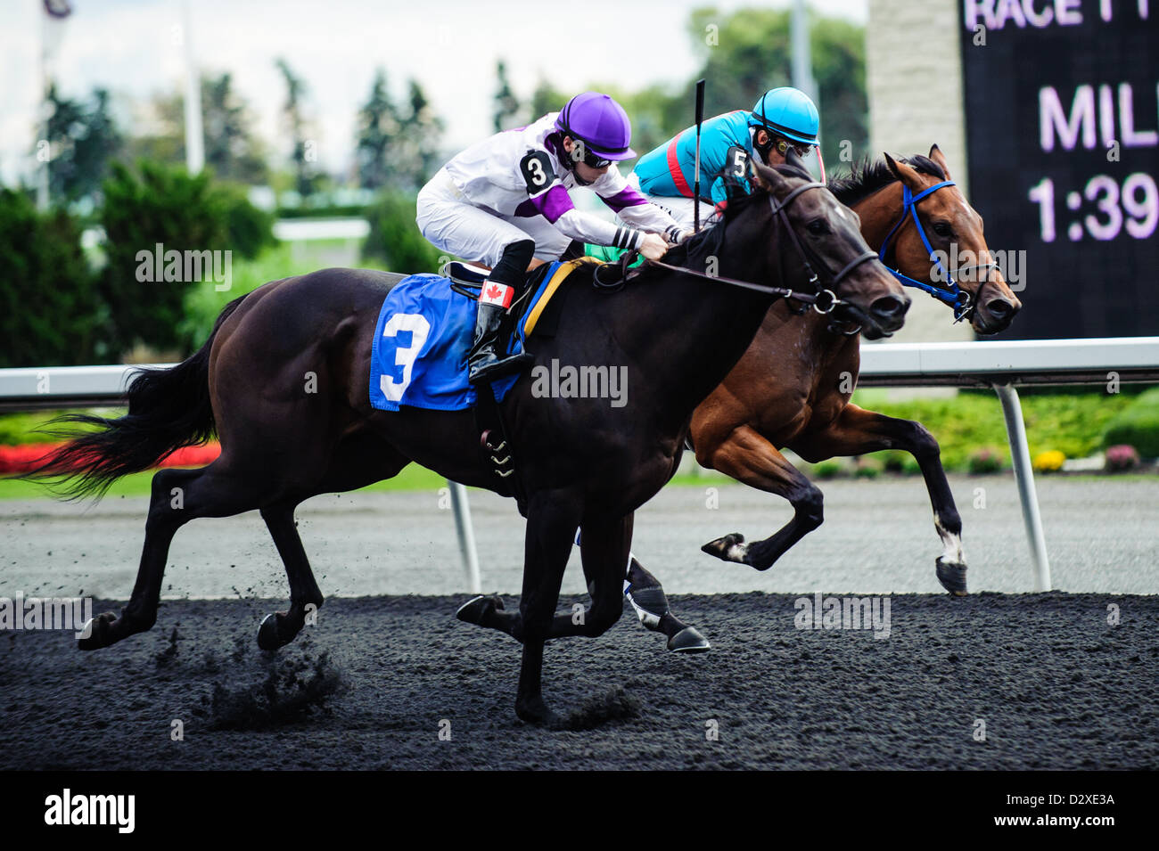 So Long George (3) with jockey Emma-Jayne Wilson passes Special ...