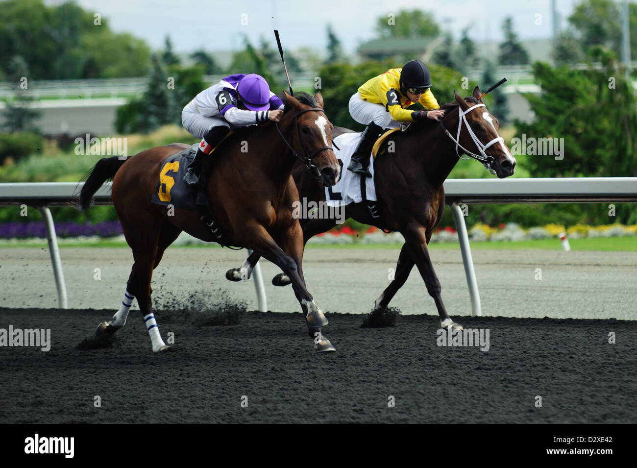 Painted Poney (6) with jockey Emma-Jayne Wilson rides to victory at ...