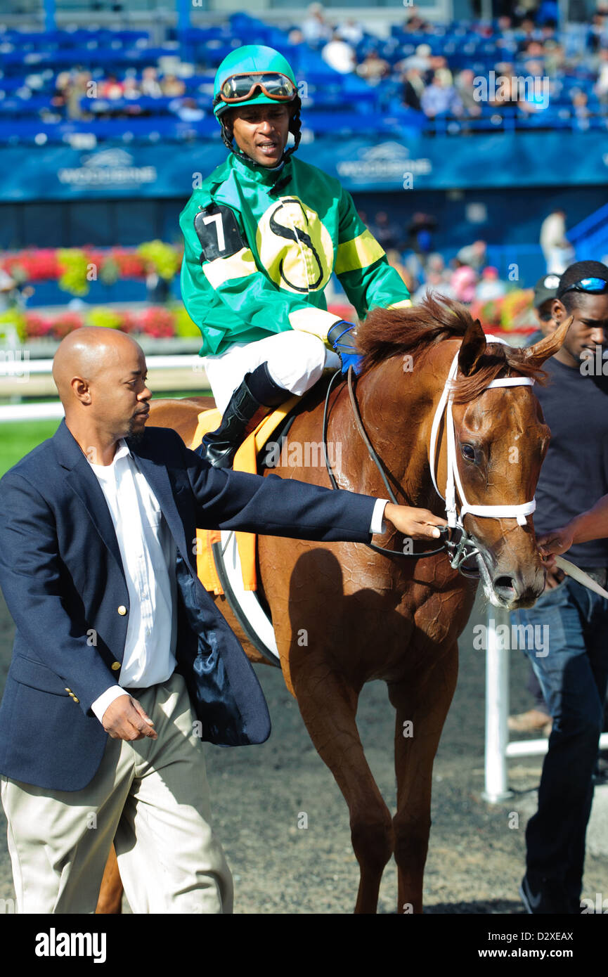 Spring Venture, with jockey P. Husbands makes his way after a winning ...