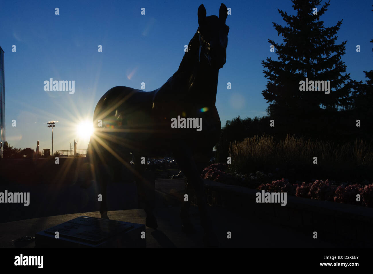 Northern dancer horse canada hi-res stock photography and images - Alamy