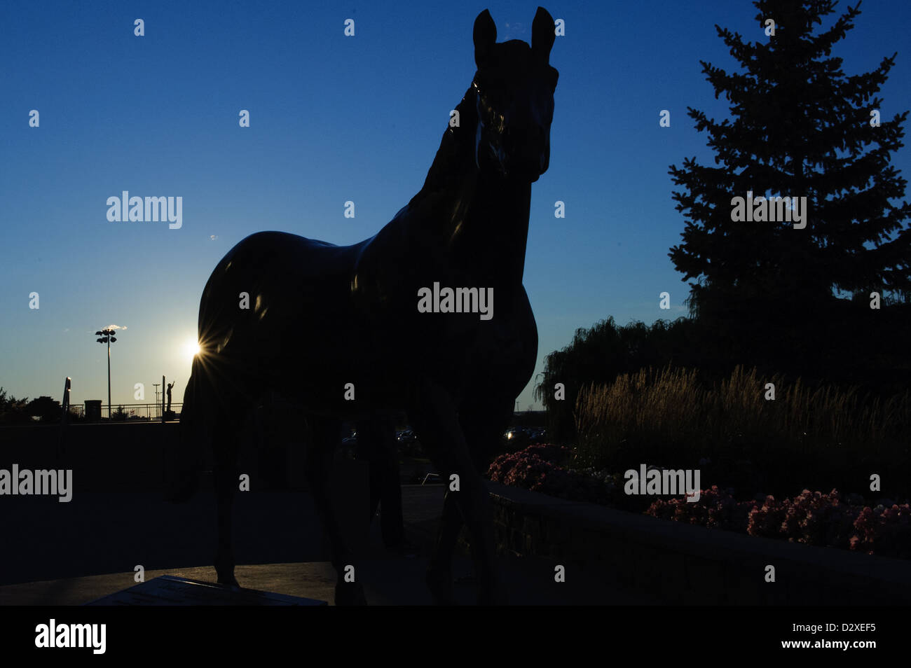 Northern dancer race horse hi-res stock photography and images - Alamy