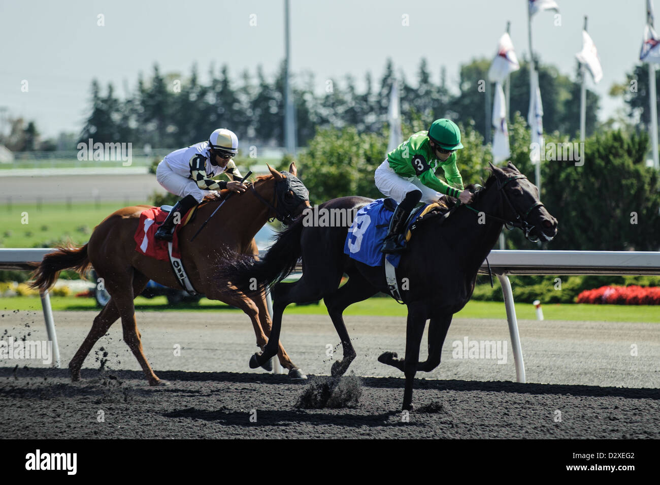 Jockey Emma-Jayne Wilson wrode D'wildcat Gold to a win and her 1000th ...