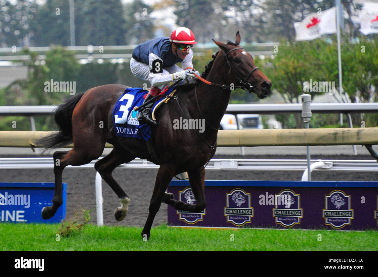Siyouma (IRE)(3) with Jockey Gerald Mosse aboard wins the E.P. Taylor ...