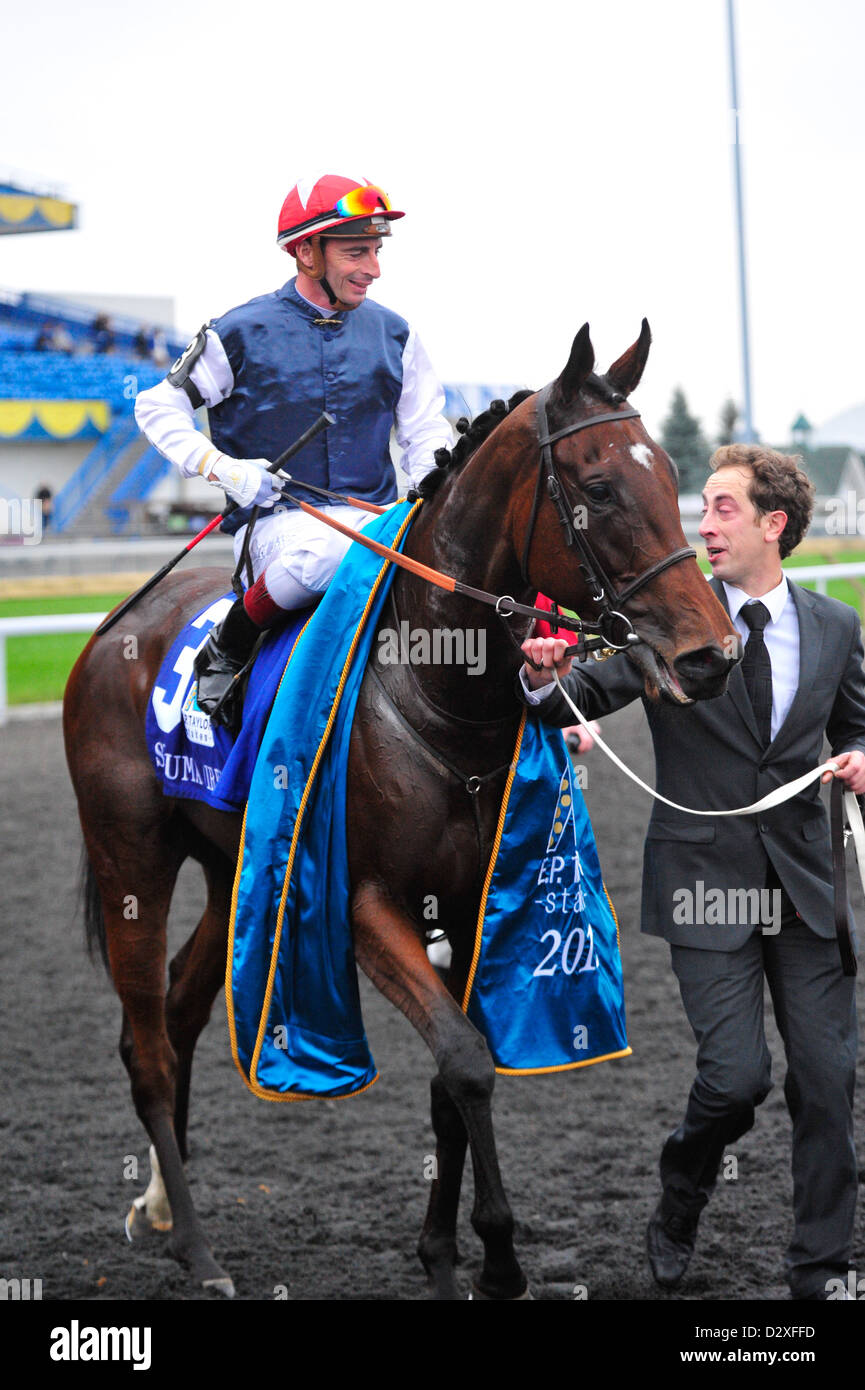 Siyouma (IRE)(3) with Jockey Gerald Mosse aboard celebrates their ...