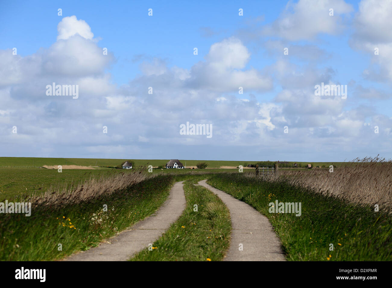 Westerhever, Germany, driveway to a farmhouse Stock Photo - Alamy