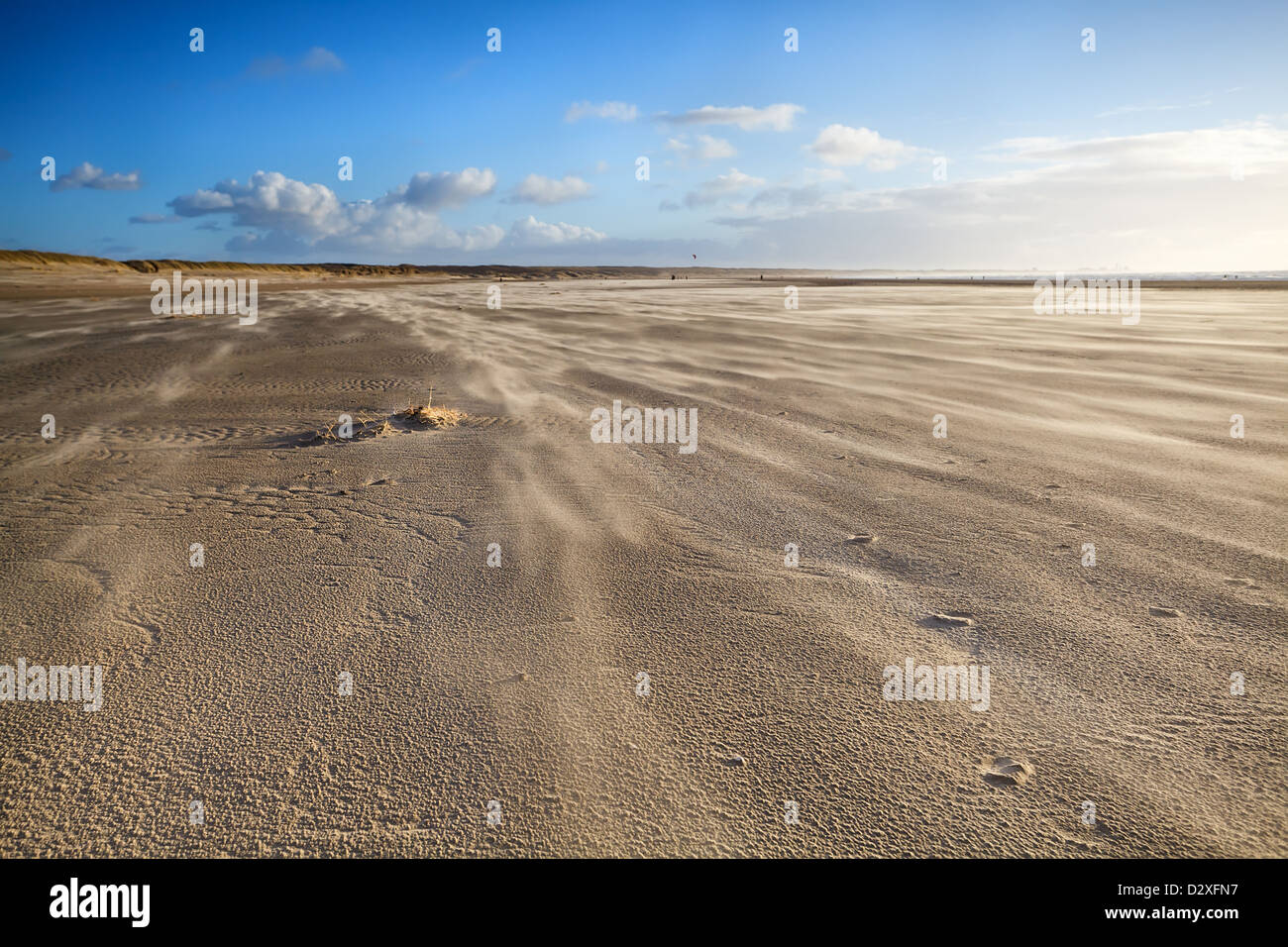 Windy beach sand hi-res stock photography and images - Alamy