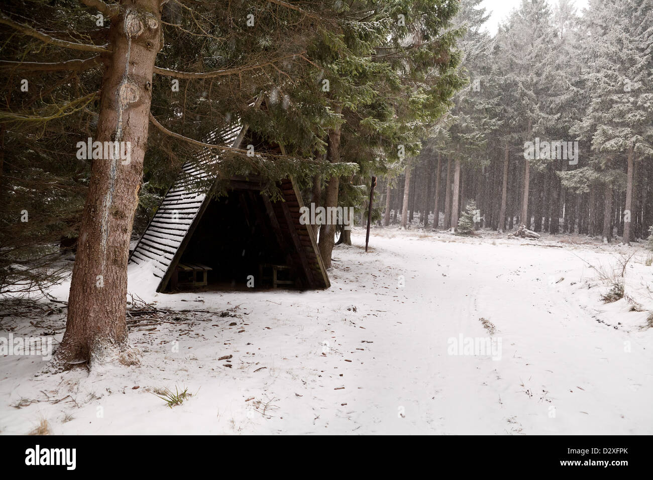 Wooden hut in forest hi-res stock photography and images - Alamy