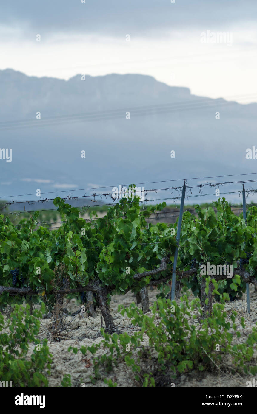 El ciego rioja hi-res stock photography and images - Alamy