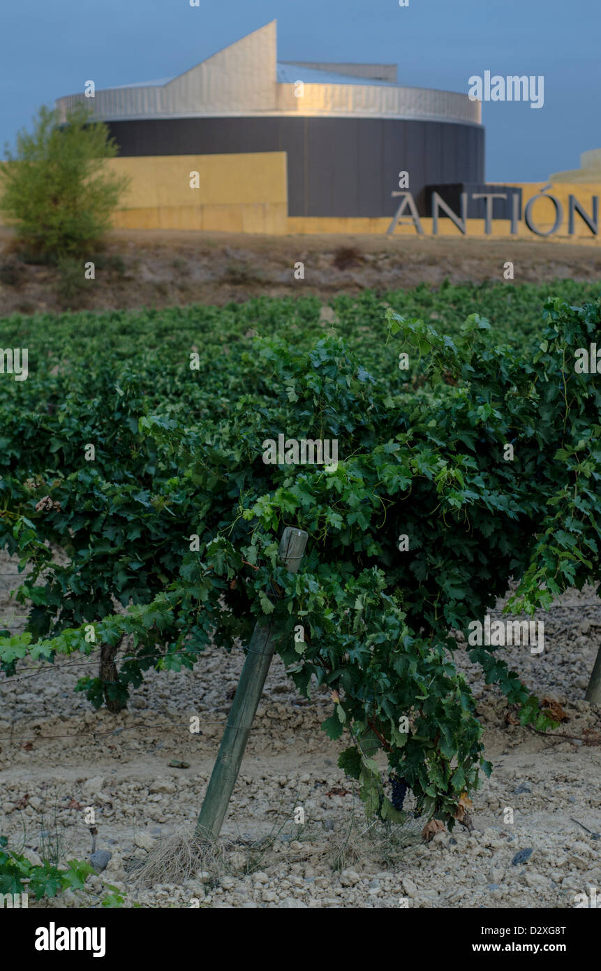 Antion Winery, El Ciego, Rioja, Spain Stock Photo - Alamy