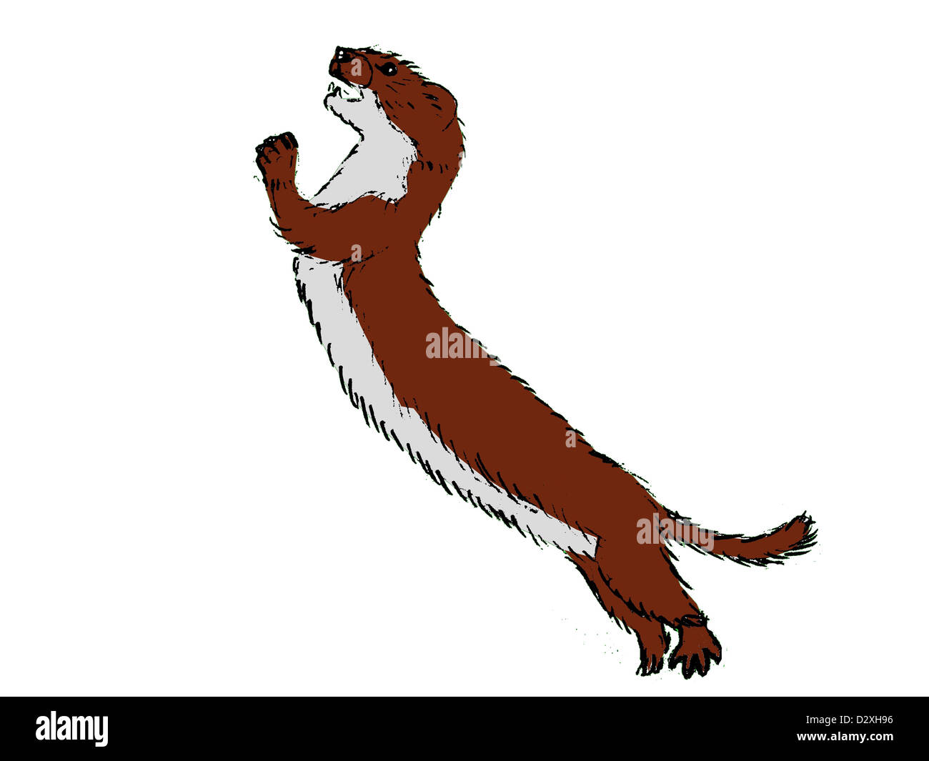 Weasel cartoon hi-res stock photography and images - Alamy