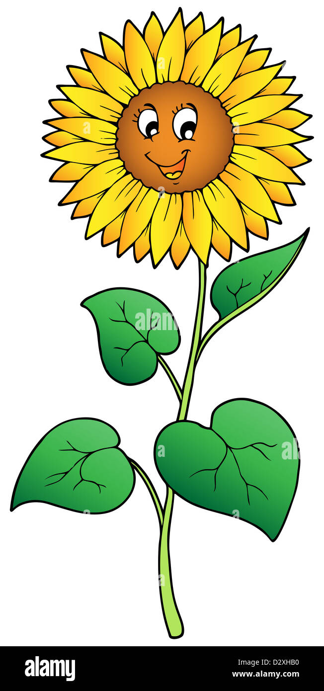 Cute cartoon sunflower - isolated illustration Stock Photo - Alamy