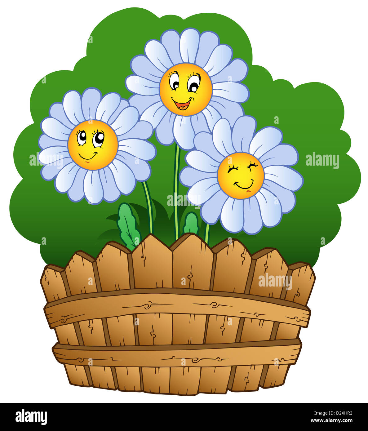 Three daisies with fence - color illustration Stock Photo - Alamy