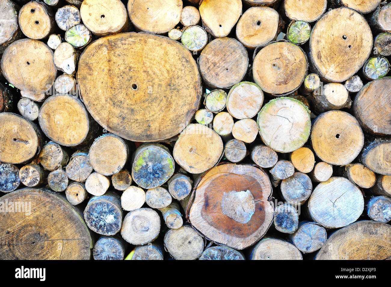 Wooden wall of timber Stock Photo - Alamy